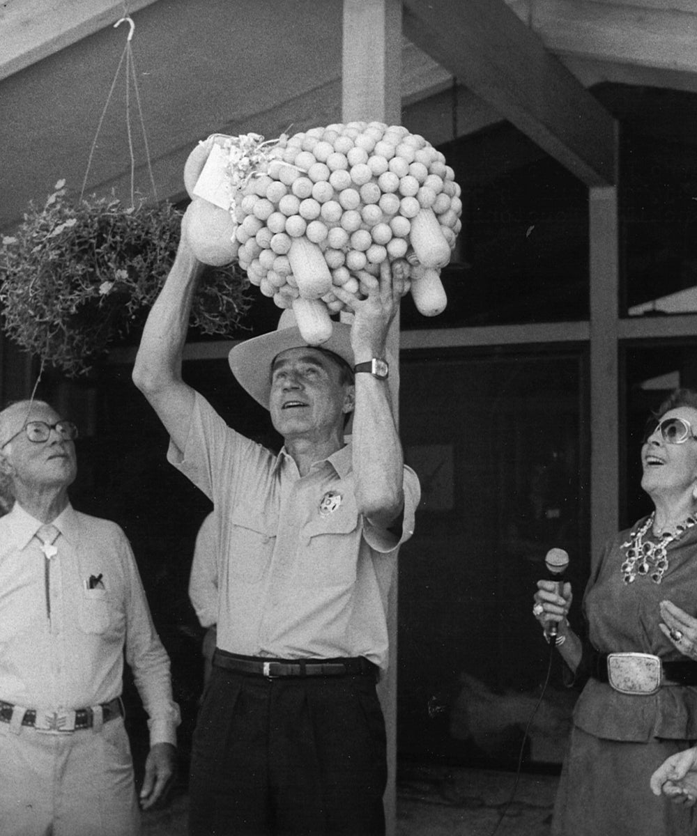 Aarikka's ram - since 1973